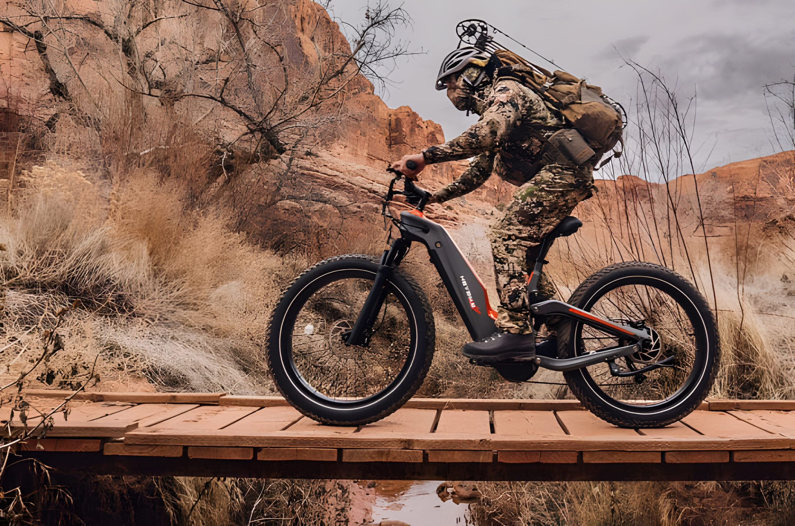 Heybike Hero: Launch of an electric speedbike at a reduced price in pre ...