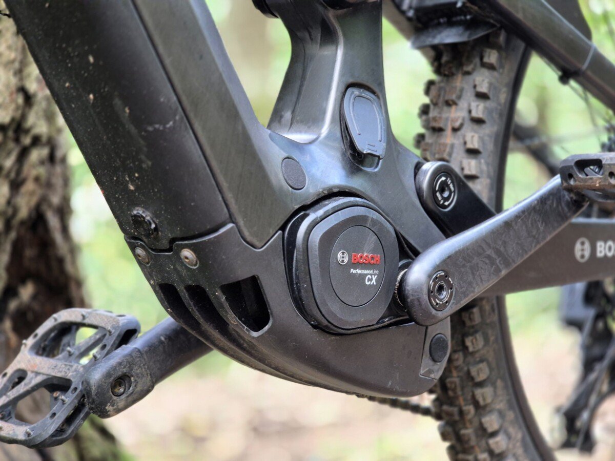 Bosch engines dominate the European ECV market